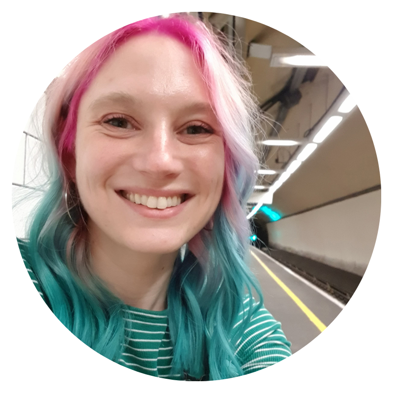 Lessons from literature and practice: how to support successful ...